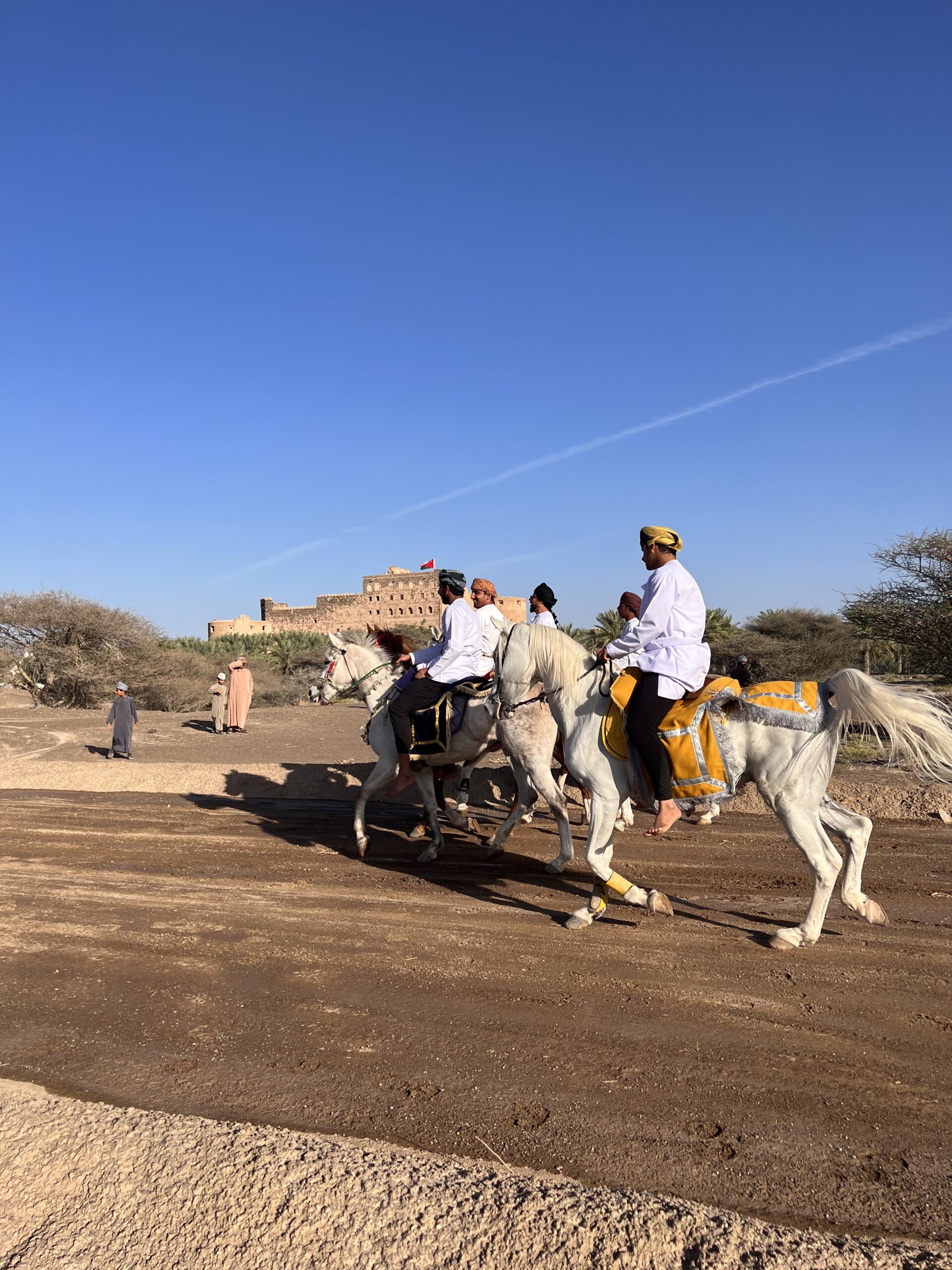 Gallery – Jabreen Castle